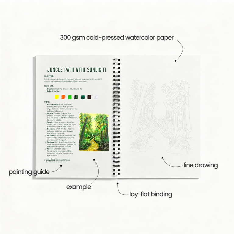 Into The Amazon Workbook – Let's Get Artsy